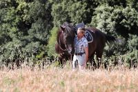 Sesión online de horsemanship – Equisens